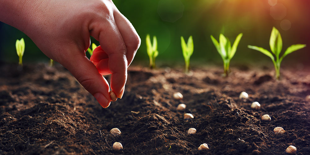 Planting Seeds FORWARD IN CHRIST Planting Seeds FORWARD IN CHRIST