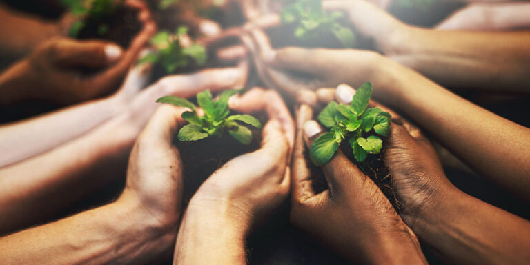 God’s people grow – FORWARD IN CHRIST